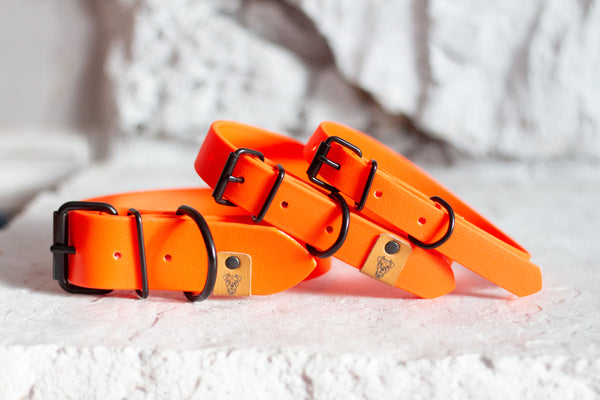 Neon Orange Waterproof Dog Collar | N.G. Collars