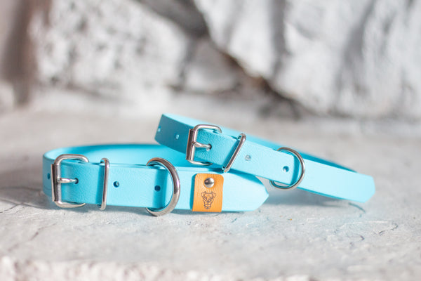 Baby Blue Waterproof Dog Collar | N.G. Collars