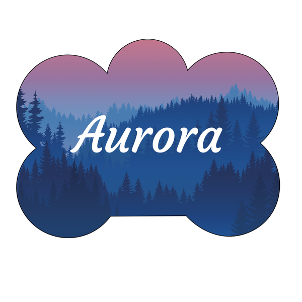 Aurora Pet Tag - N.G. Collars