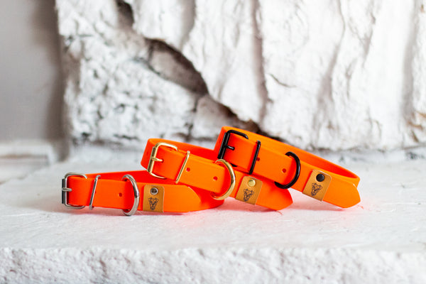 Neon Orange Waterproof Dog Collar | N.G. Collars