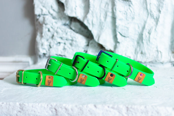 Neon Green Waterproof Dog Collar | N.G. Collars