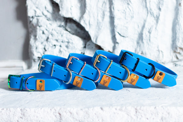 Sky Blue Waterproof Dog Collar | N.G. Collars