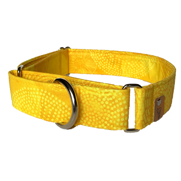 Yellow Martingale Collar | N.G. Collars